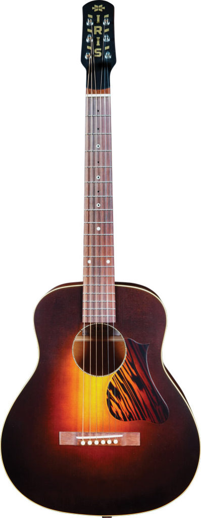 The Iris Guitar Dan Erlewine DE-11 | Vintage Guitar® magazine